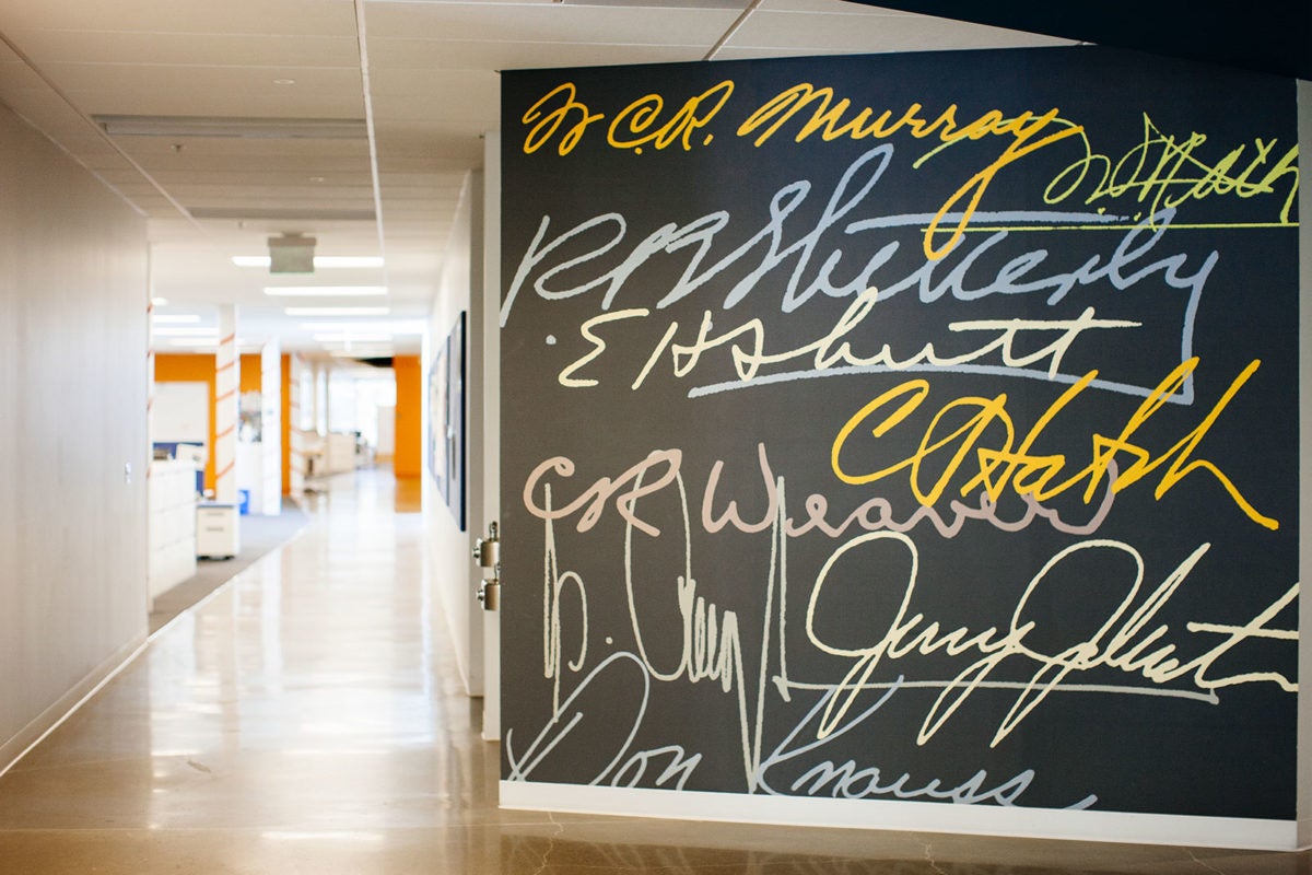 jquery - How to select image elements with its srcset attribute value using javascript? - Stack ...