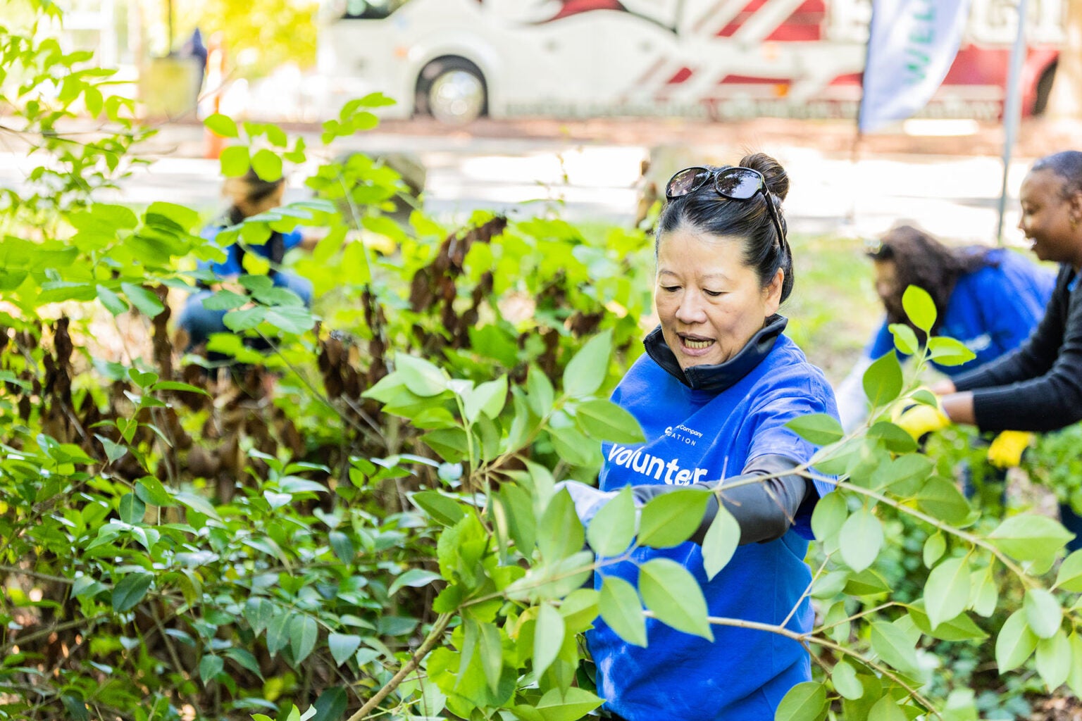 Enhancing environmental and social sustainability in Durham | The ...
