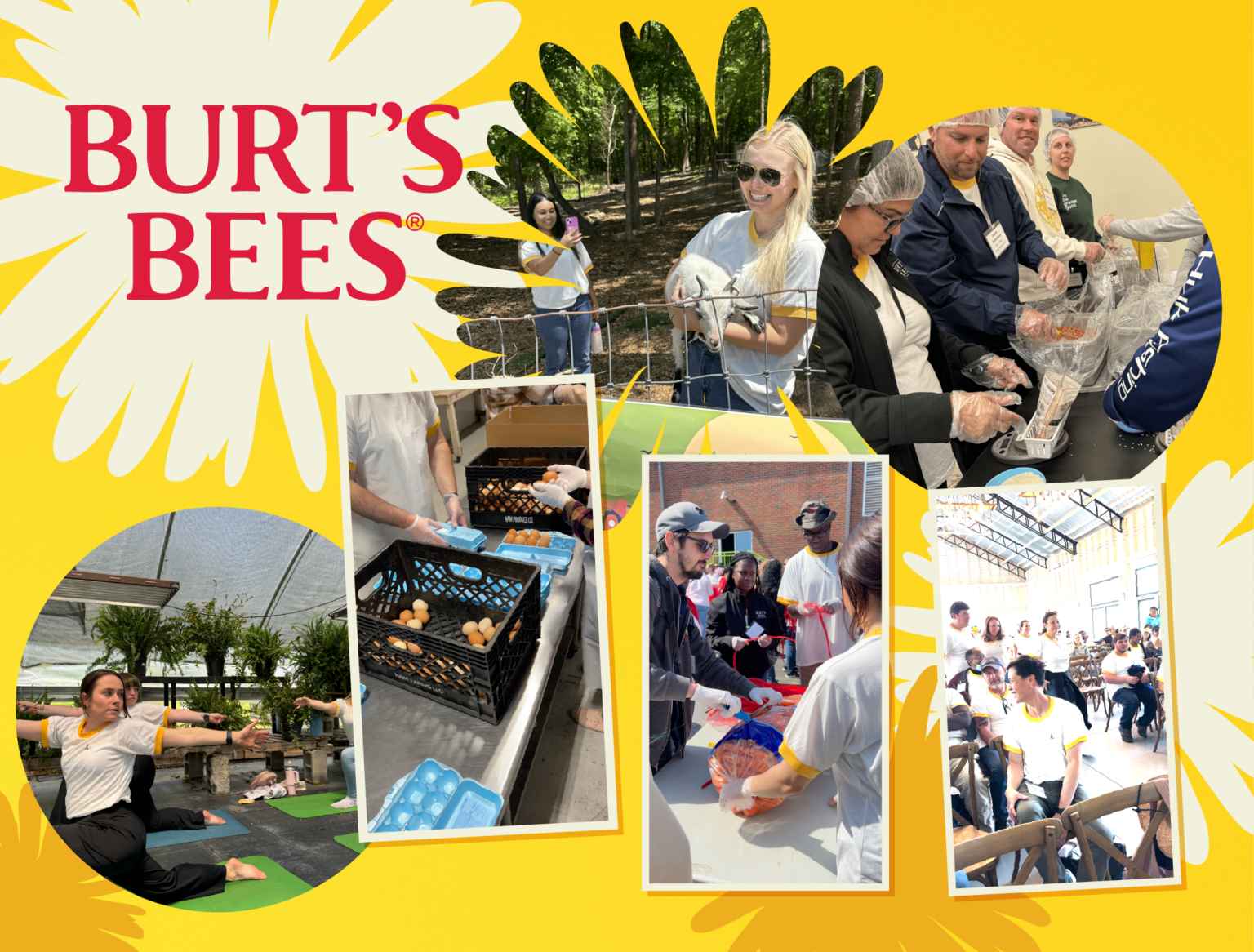 Celebrating our 40th bee-day with a nod to the past | The Clorox Company