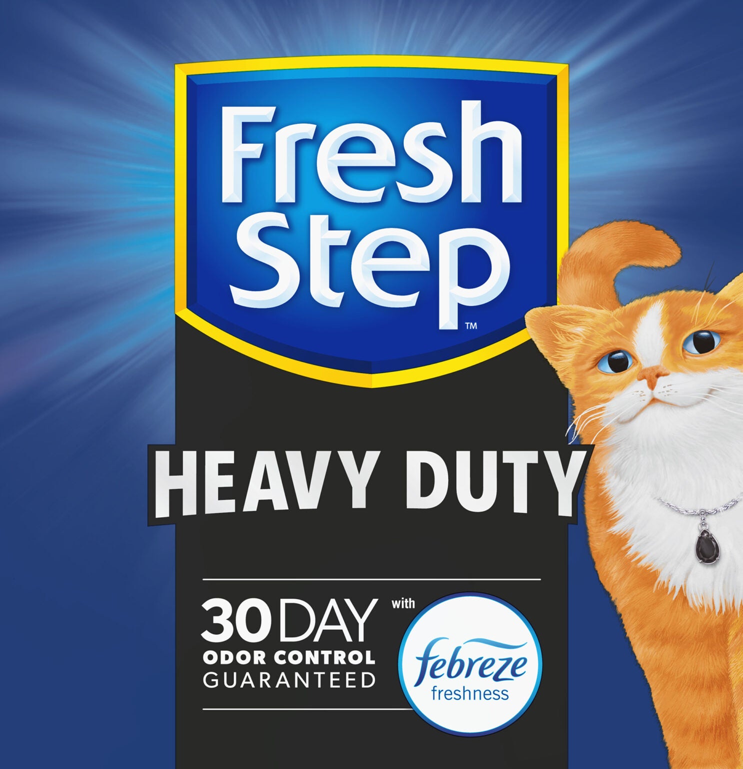 Introducing the latest innovation from our Clorox family of brands ...